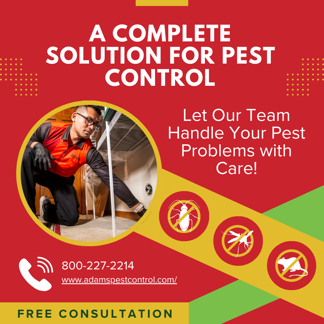 Complete Pest Control Solutions | Adams Pest Control