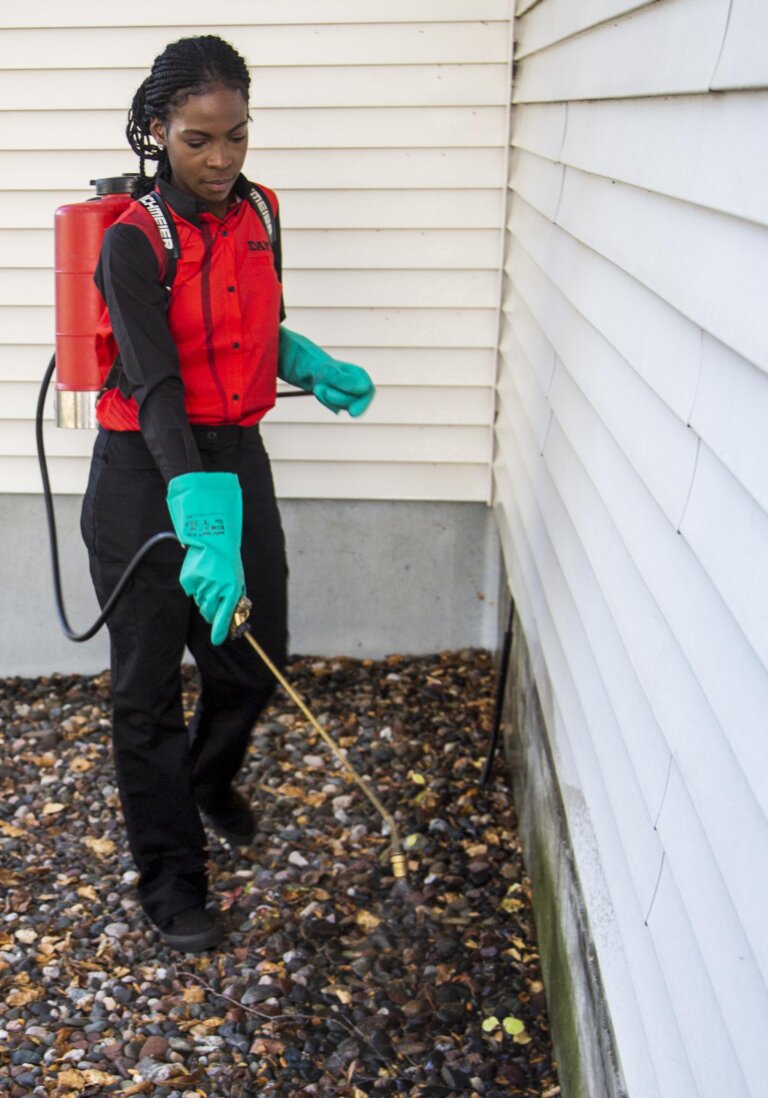 Effective Home Pest Control Services | Adam's Pest Control