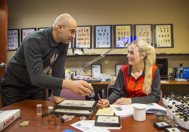 About Adam's – Reliable Pest Control & Prevention