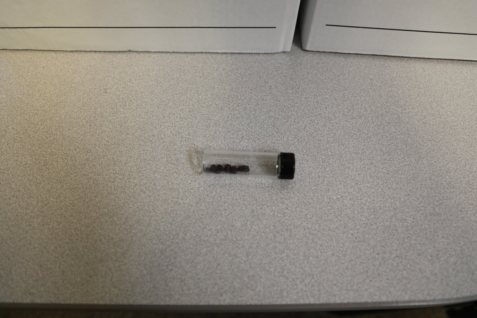 Mouse Droppings - How to Identify and Clean it Safely